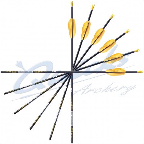 Easton X10 Arrows with EP08 Points & Easton Pin Nocks ...