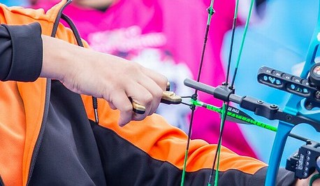 Compound Bow D-Loops